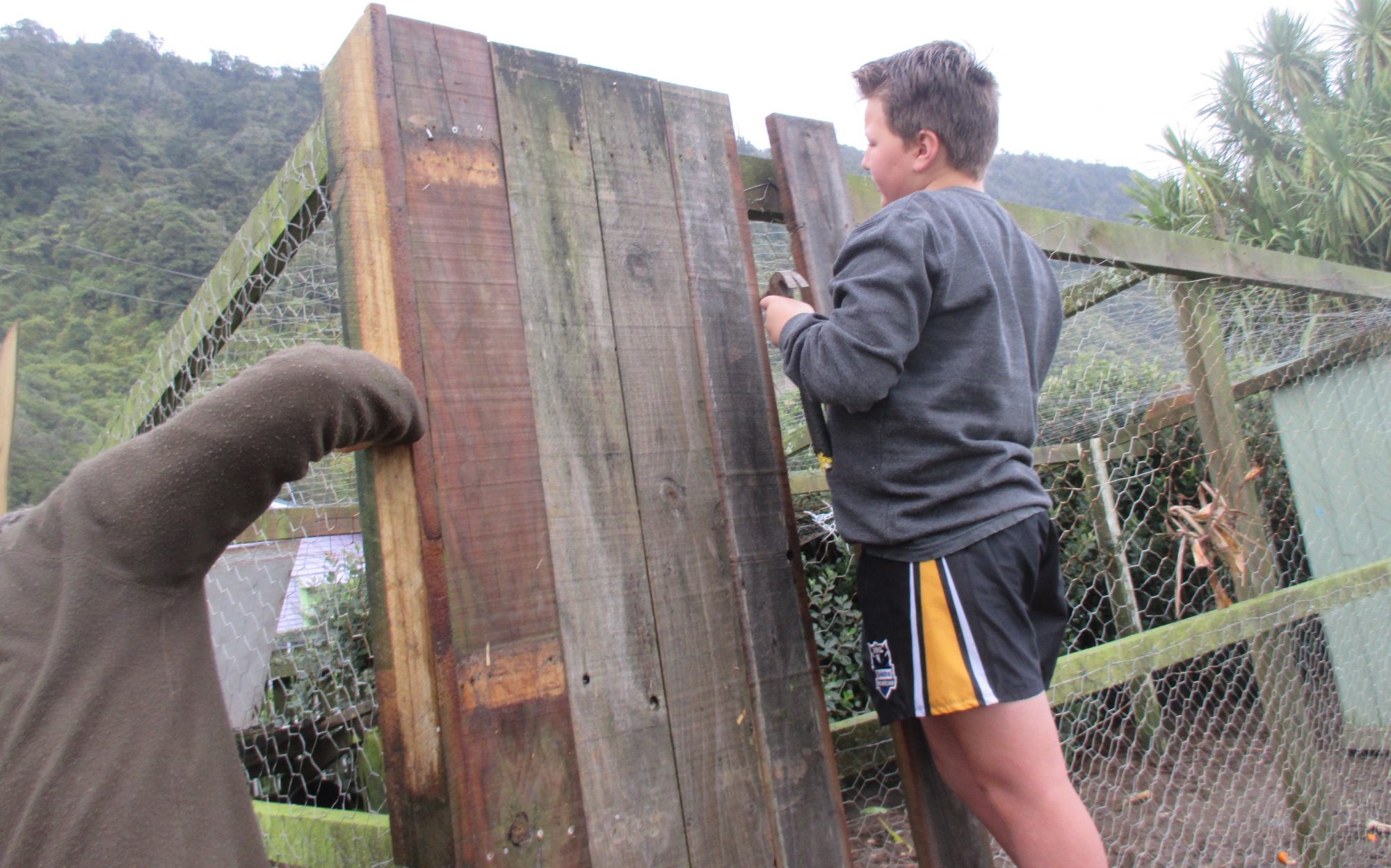 Enviroschools | Students Design and Build a New Sustainable Whare Heihei!