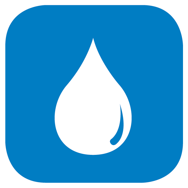 Enviroschools | Water of Life theme flows into action in Netherton