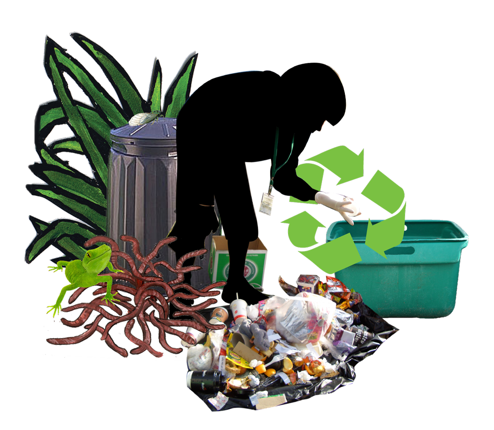 Enviroschools | Waldorf School Celebrates Successful Community Carnival ...