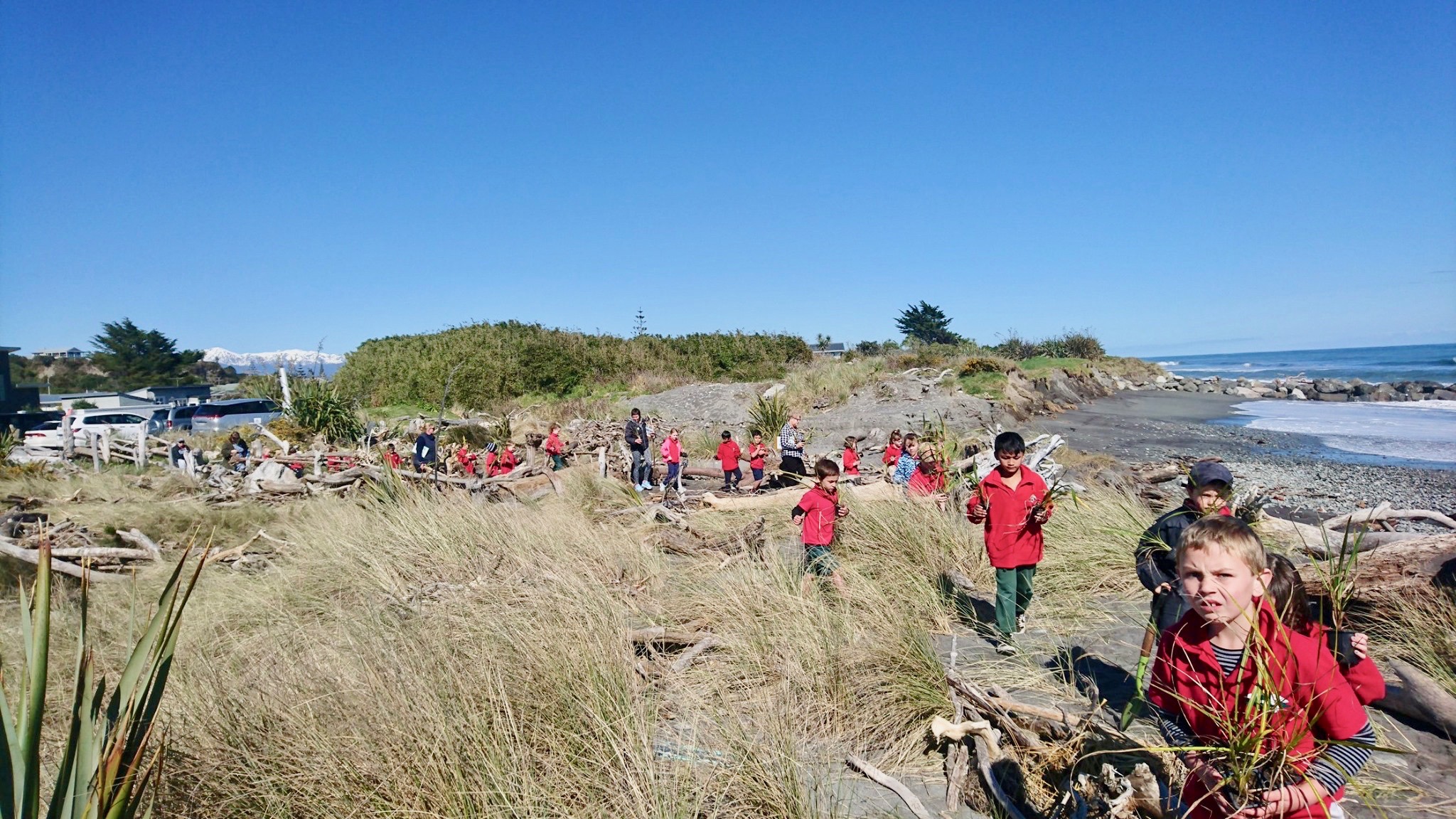 Enviroschools | Local Curriculum Comes Alive at the Beach