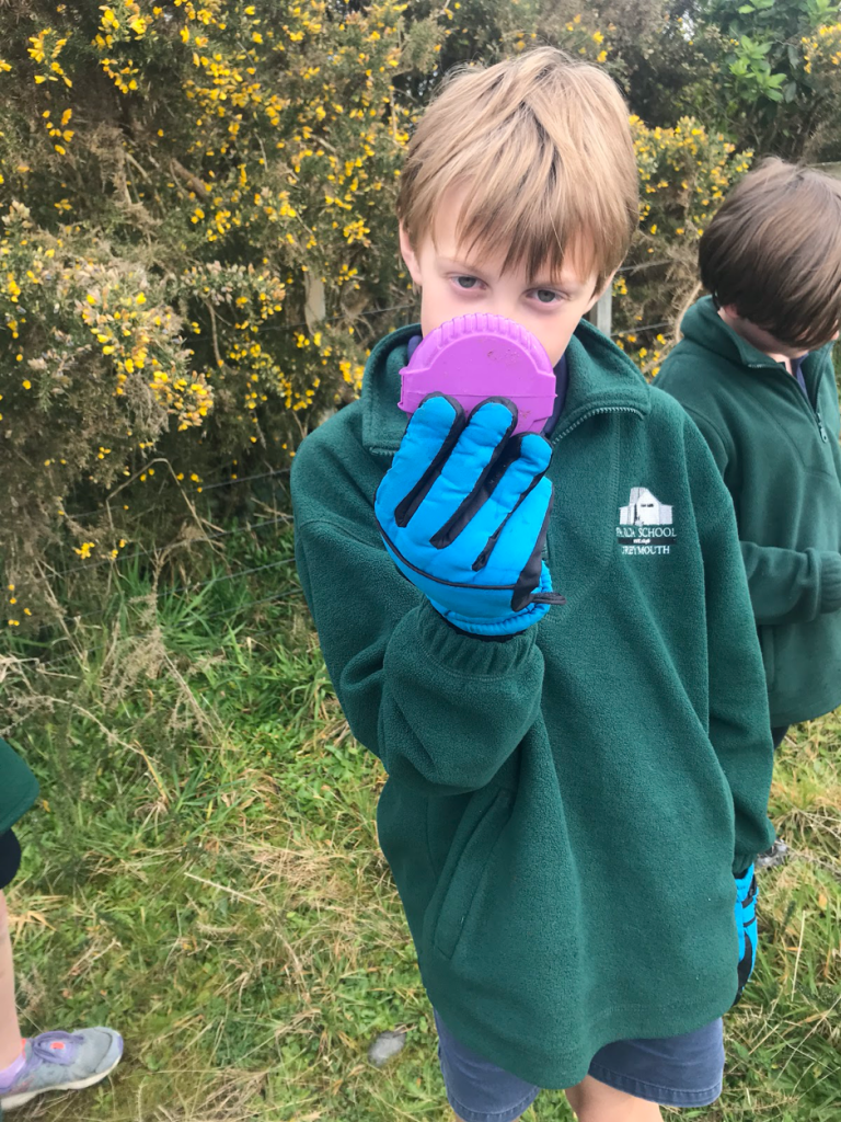 Enviroschools | Protecting their Patch at Paroa School