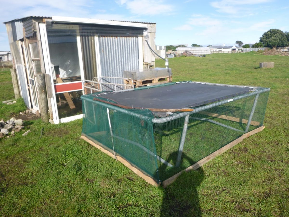 Enviroschools | Opunake Students Develop Building Skills to Create ...