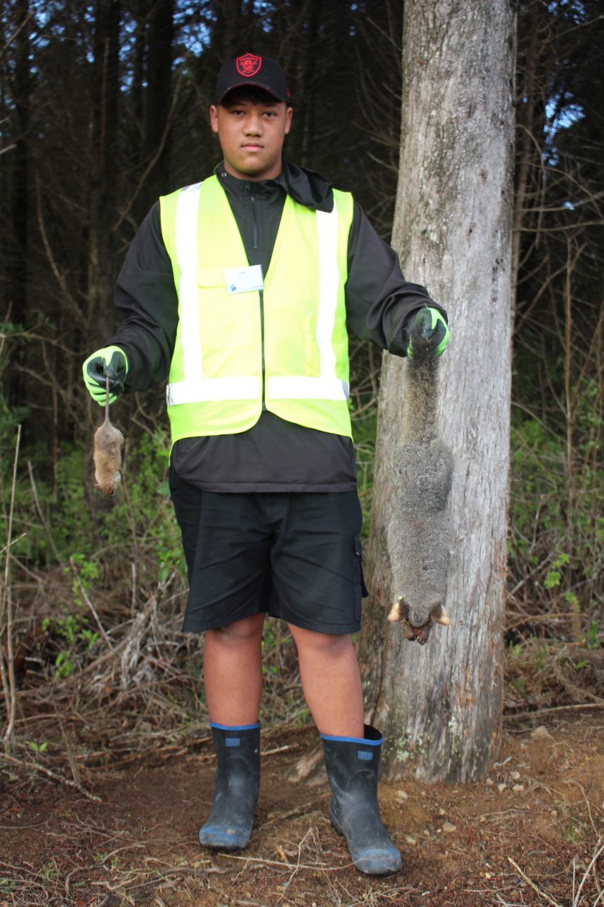 Enviroschools | Humane Pest Control – An in-depth Northland Perspective