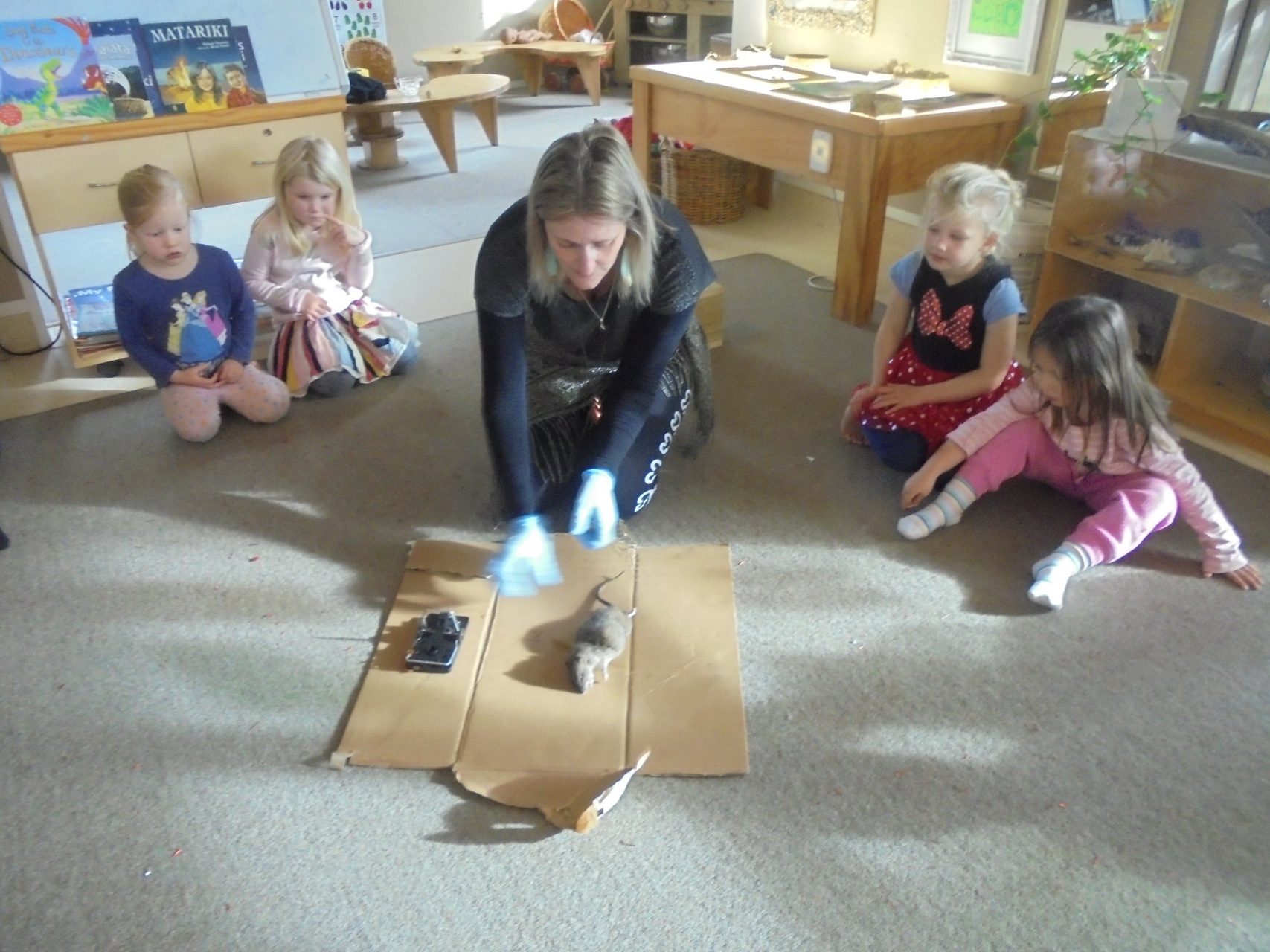 Enviroschools | Kaitiakitanga – Tamariki explore pest control with ...