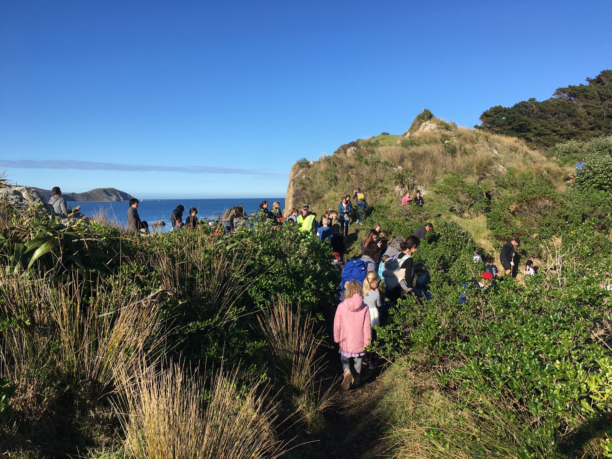 Enviroschools | Seatoun School takes action for community guardianship