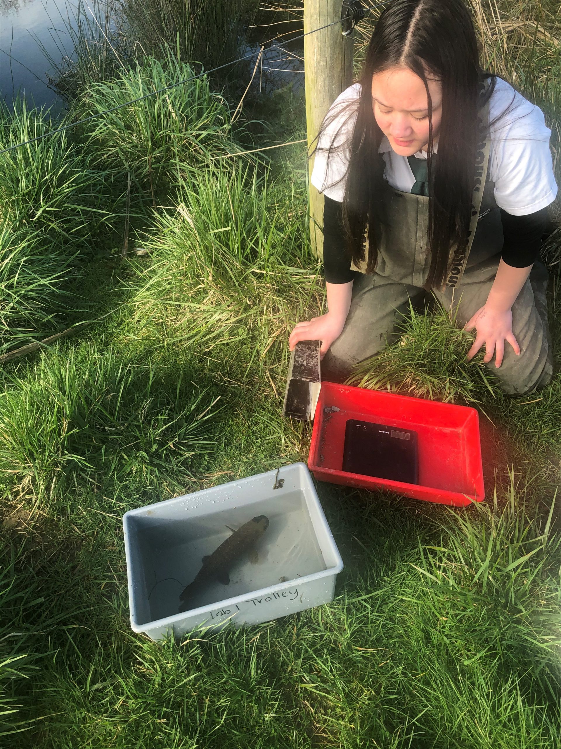 Enviroschools | Menzies College students develop knowledge and skills ...