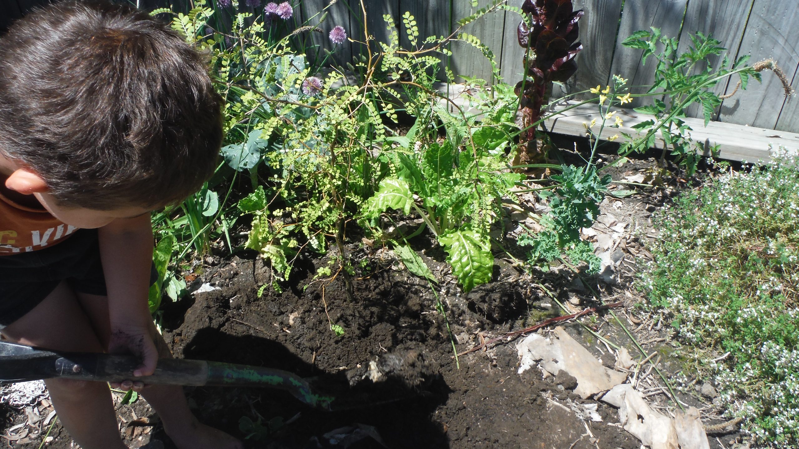 Enviroschools | Education for a climate-changing future – ECE resource