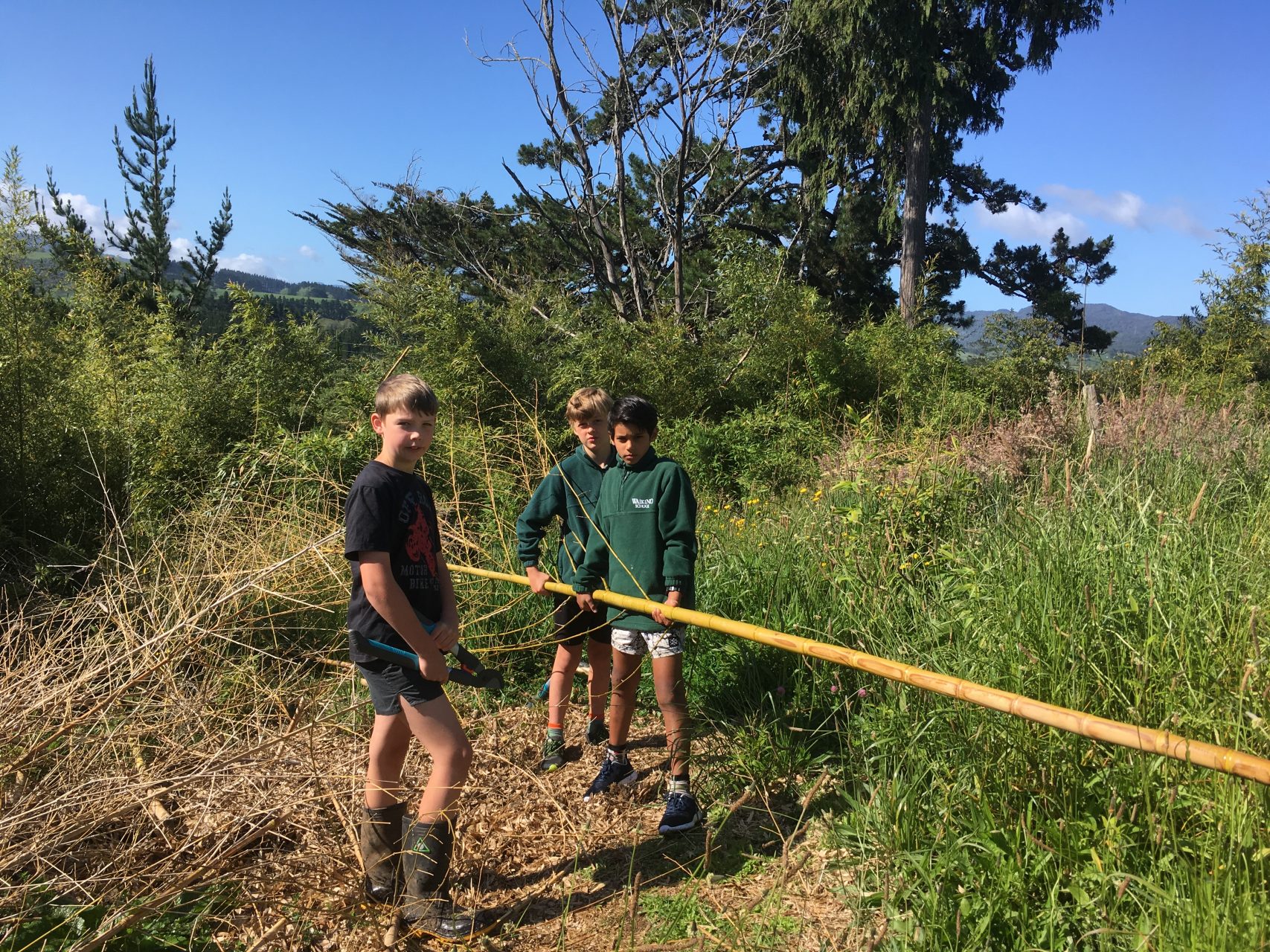 Enviroschools | Ecological building principles are woven through ...