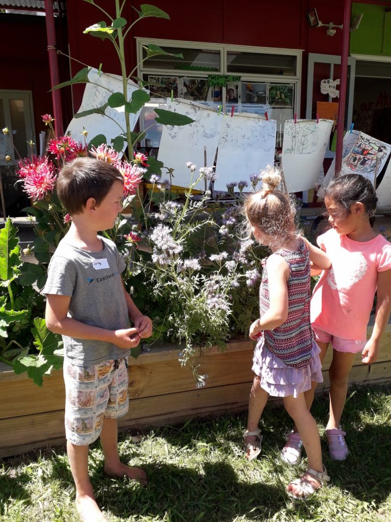 Enviroschools | Local Curriculum reaps Green-Gold for Makaraka