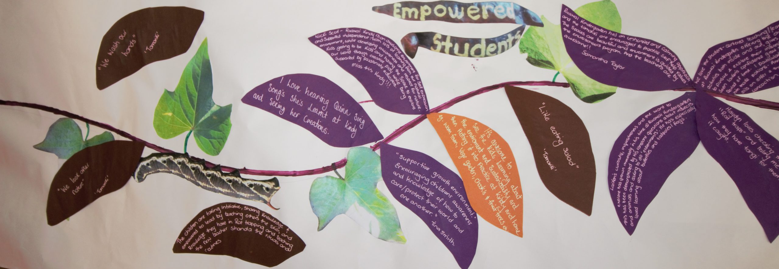 Enviroschools | Empowered Tamariki pave way for a Sustainable Ruawai ...