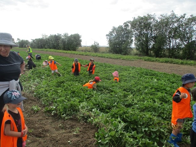 Enviroschools | Empowered Tamariki pave way for a Sustainable Ruawai ...