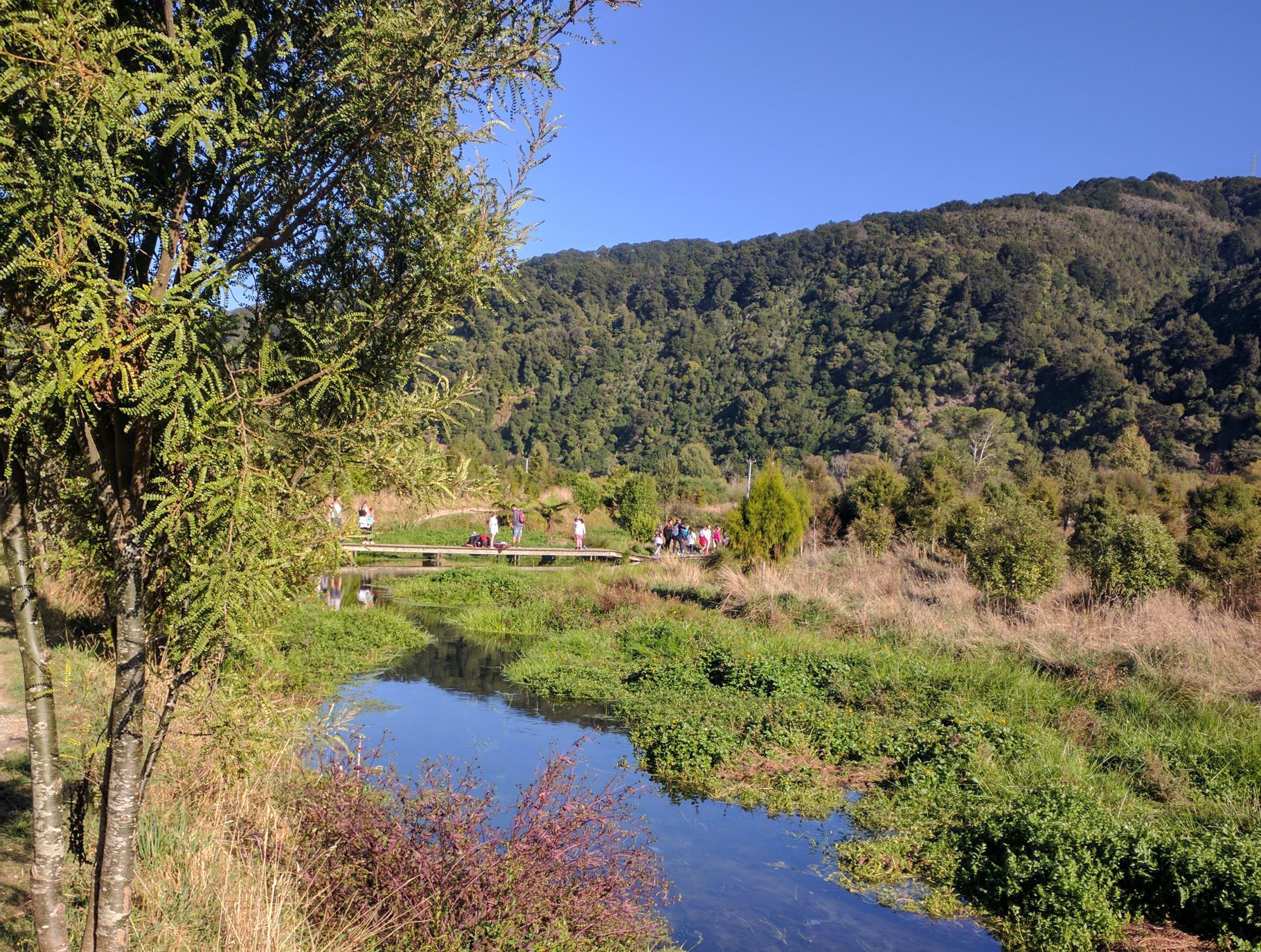 Enviroschools | Māwai hakona – a place that makes us want to learn