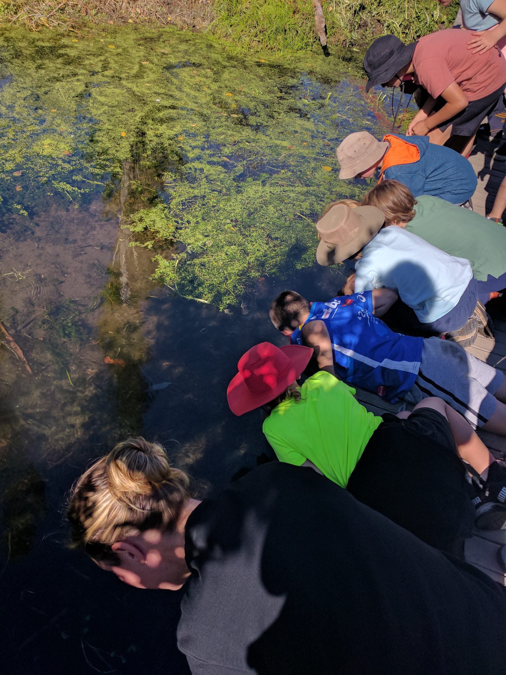 Enviroschools | Māwai hakona – a place that makes us want to learn