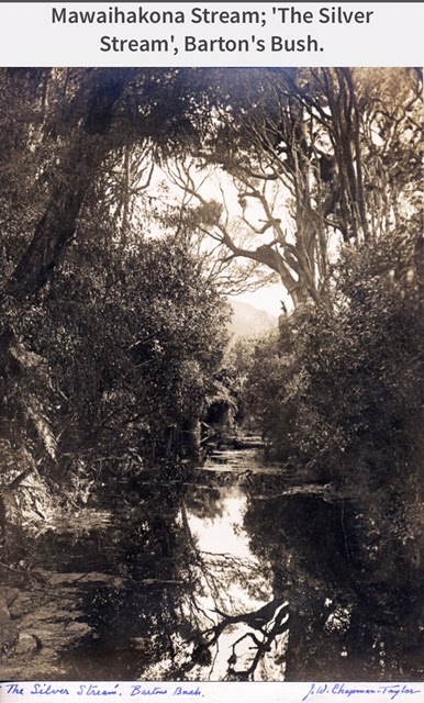 Enviroschools | Māwai hakona – a place that makes us want to learn