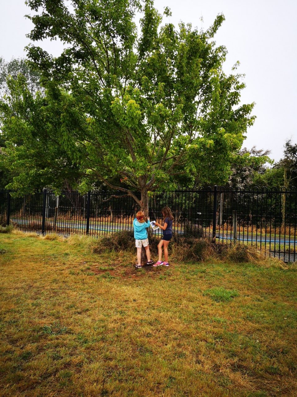 Enviroschools | Me in My Environment activities help build awareness ...