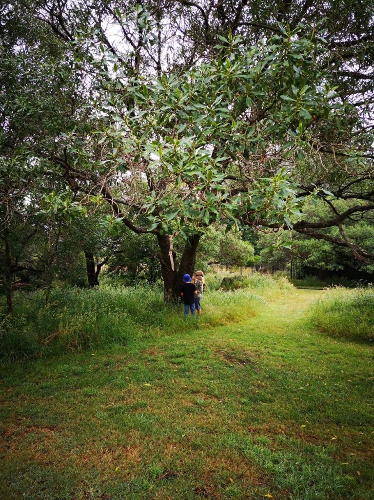 Enviroschools | Me in My Environment activities help build awareness ...