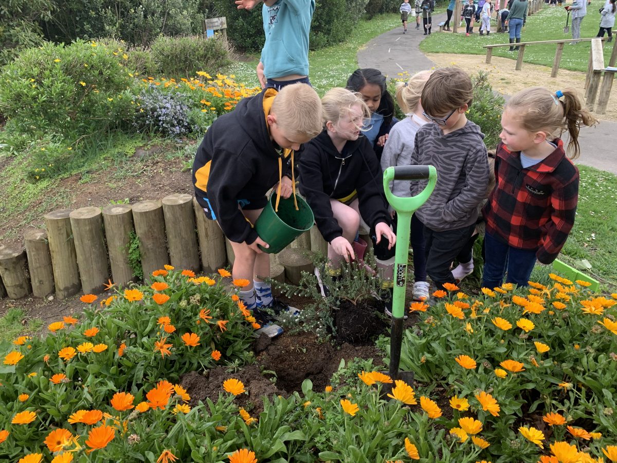 Enviroschools | Enviro-Action Days – chaotic and fun ways to engage the whole school