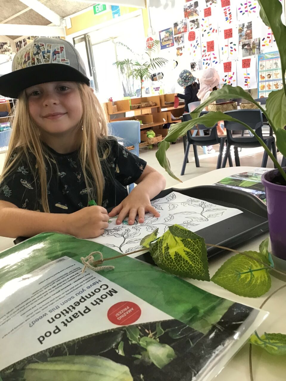 Enviroschools | Lucas and the moth plant pods