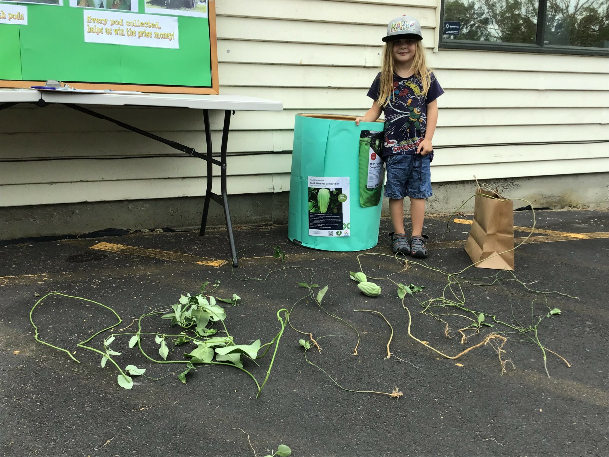 Enviroschools | Lucas and the moth plant pods