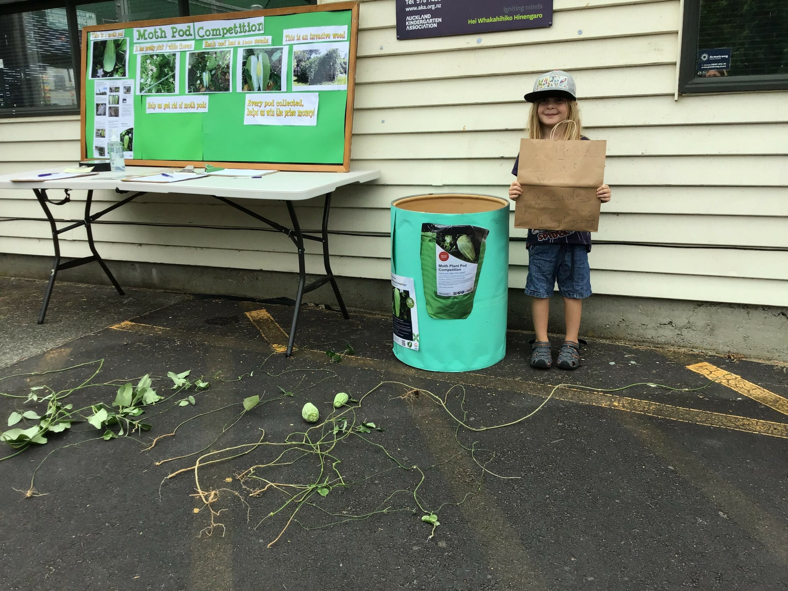 Enviroschools | Lucas and the moth plant pods