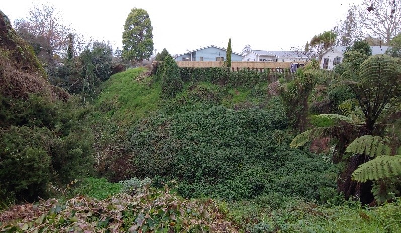 Enviroschools | Māhoe, mānuka and karamū to replace mignonette at Maeroa