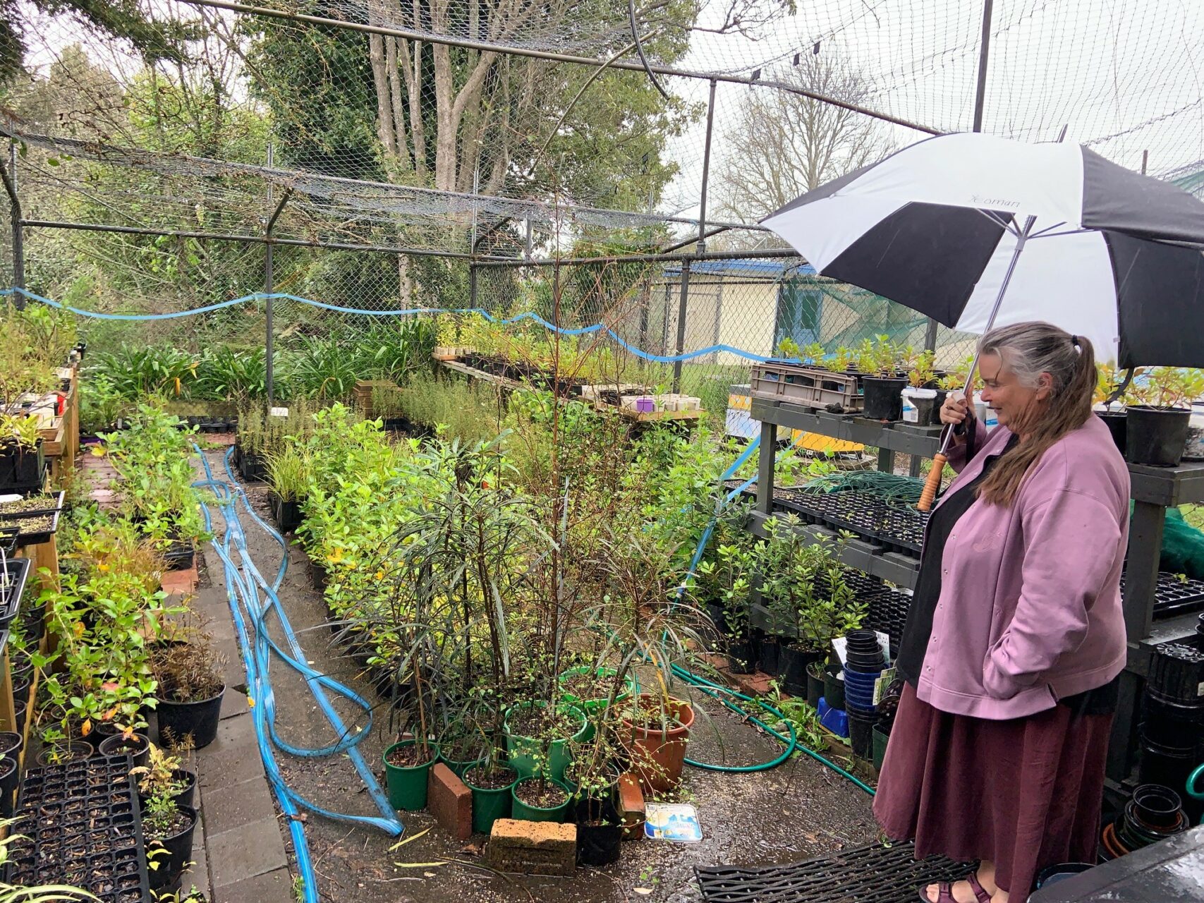 Enviroschools | 3 years of collaboration, ecological learning and ...