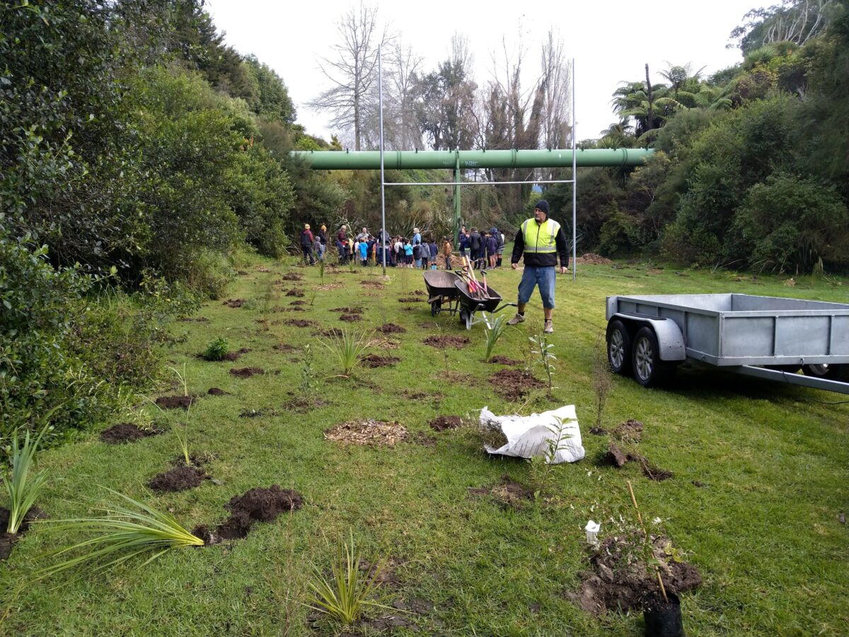Enviroschools | Growing a gully-aware community and outdoor learning ...