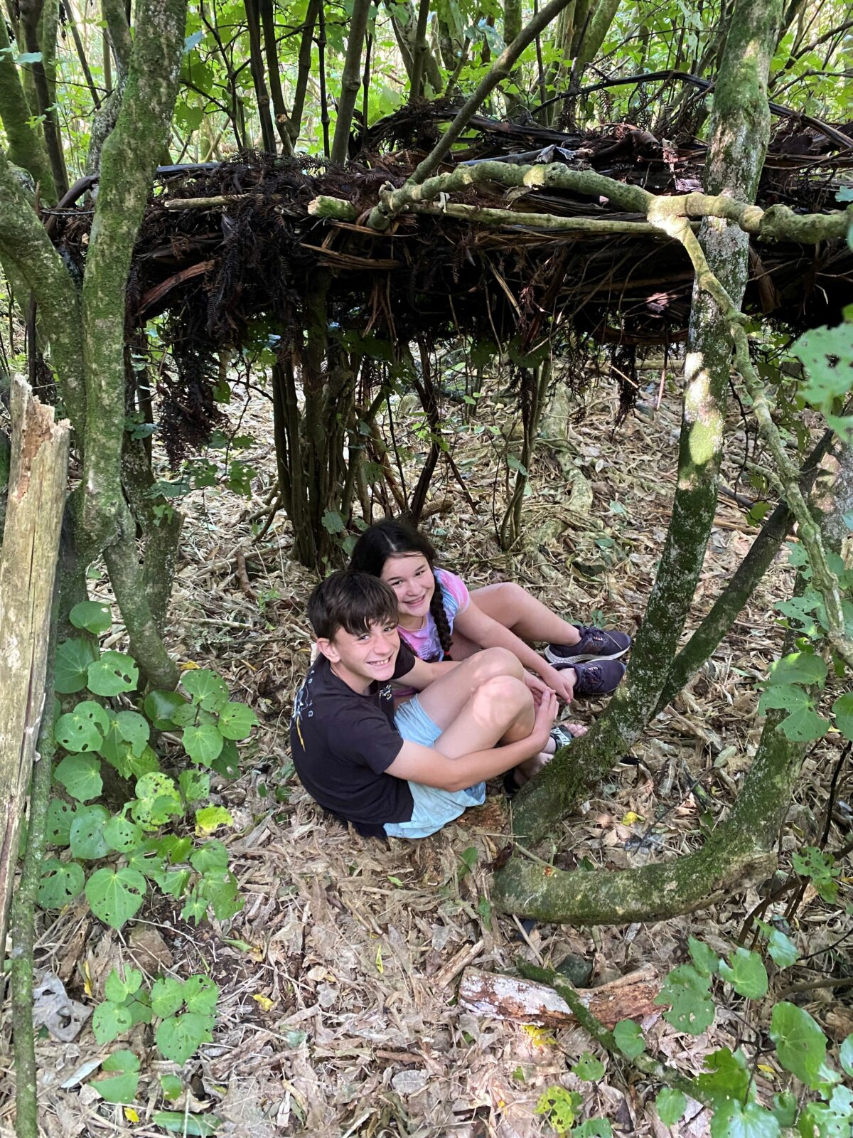 Enviroschools | Getting our heads, hearts and hands into Ecological ...