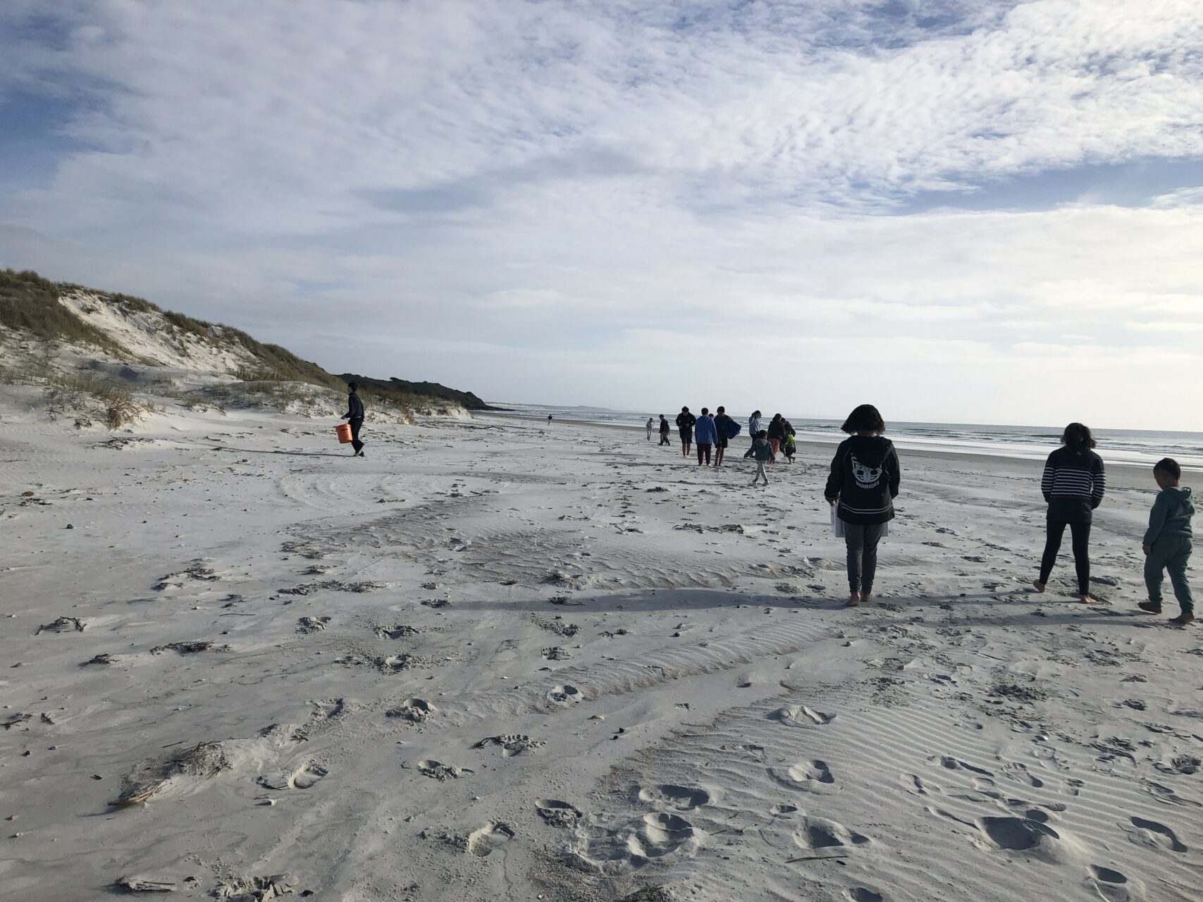 Enviroschools | Visionary processes of Enviroschools consolidates ...