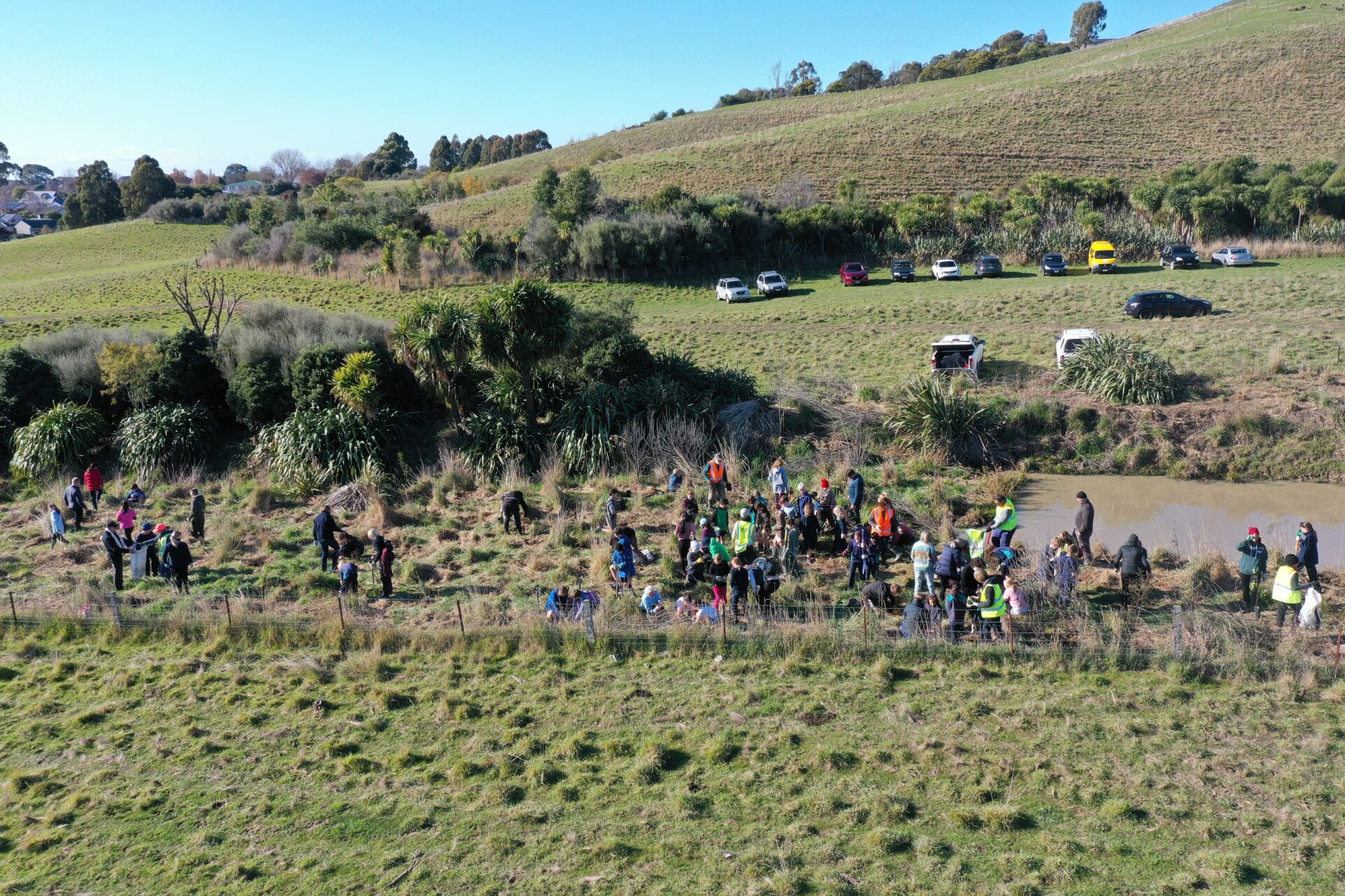 Enviroschools | Matariki Planting on the Wither Hills