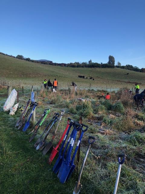 Enviroschools | Matariki Planting on the Wither Hills