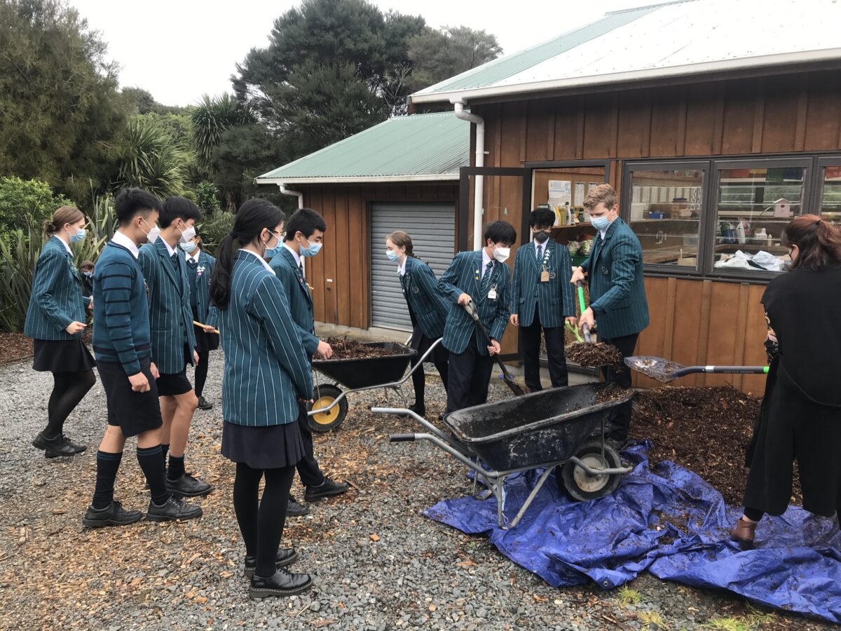 Enviroschools | Kristin School celebrates Green-Gold