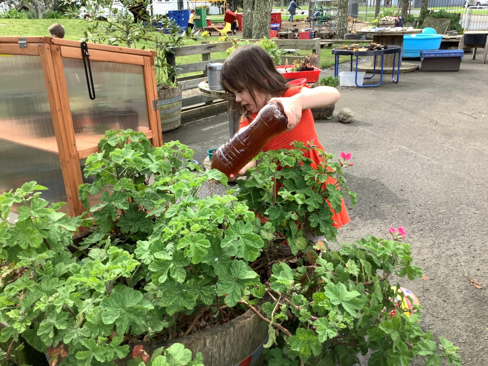 Enviroschools | Empowered tamariki contribute to a sustainable community