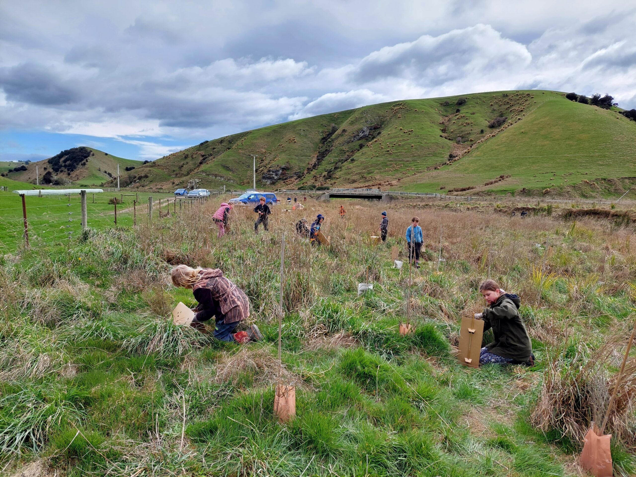 Enviroschools | Contributing to tributary restoration – Waitahuna ...