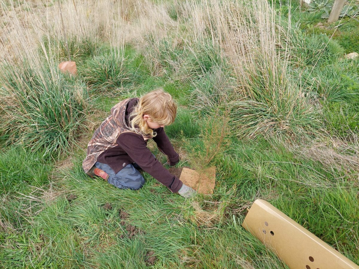 Enviroschools | Contributing to tributary restoration – Waitahuna ...