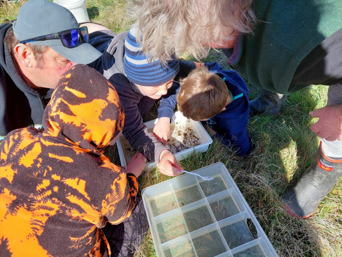 Enviroschools | Contributing to tributary restoration – Waitahuna ...