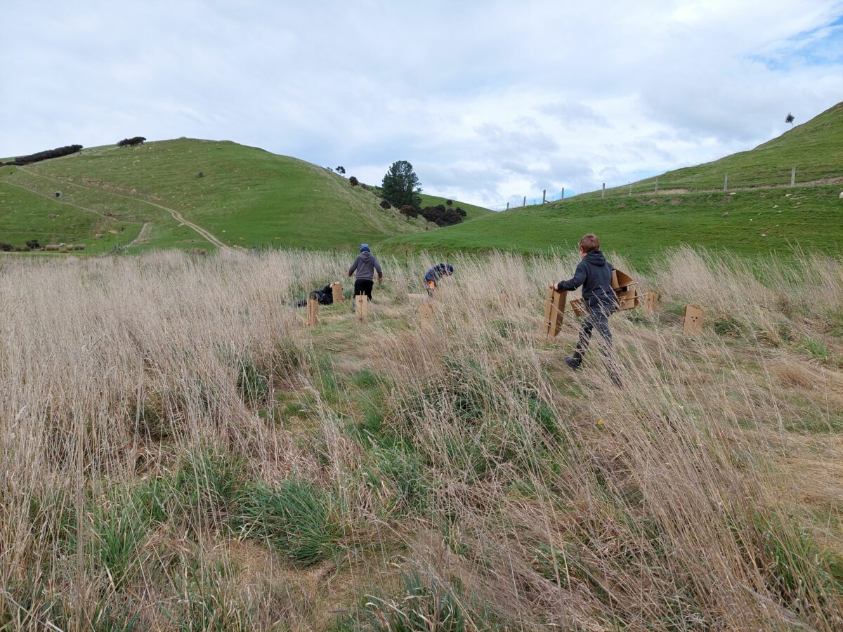 Enviroschools | Contributing to tributary restoration – Waitahuna ...