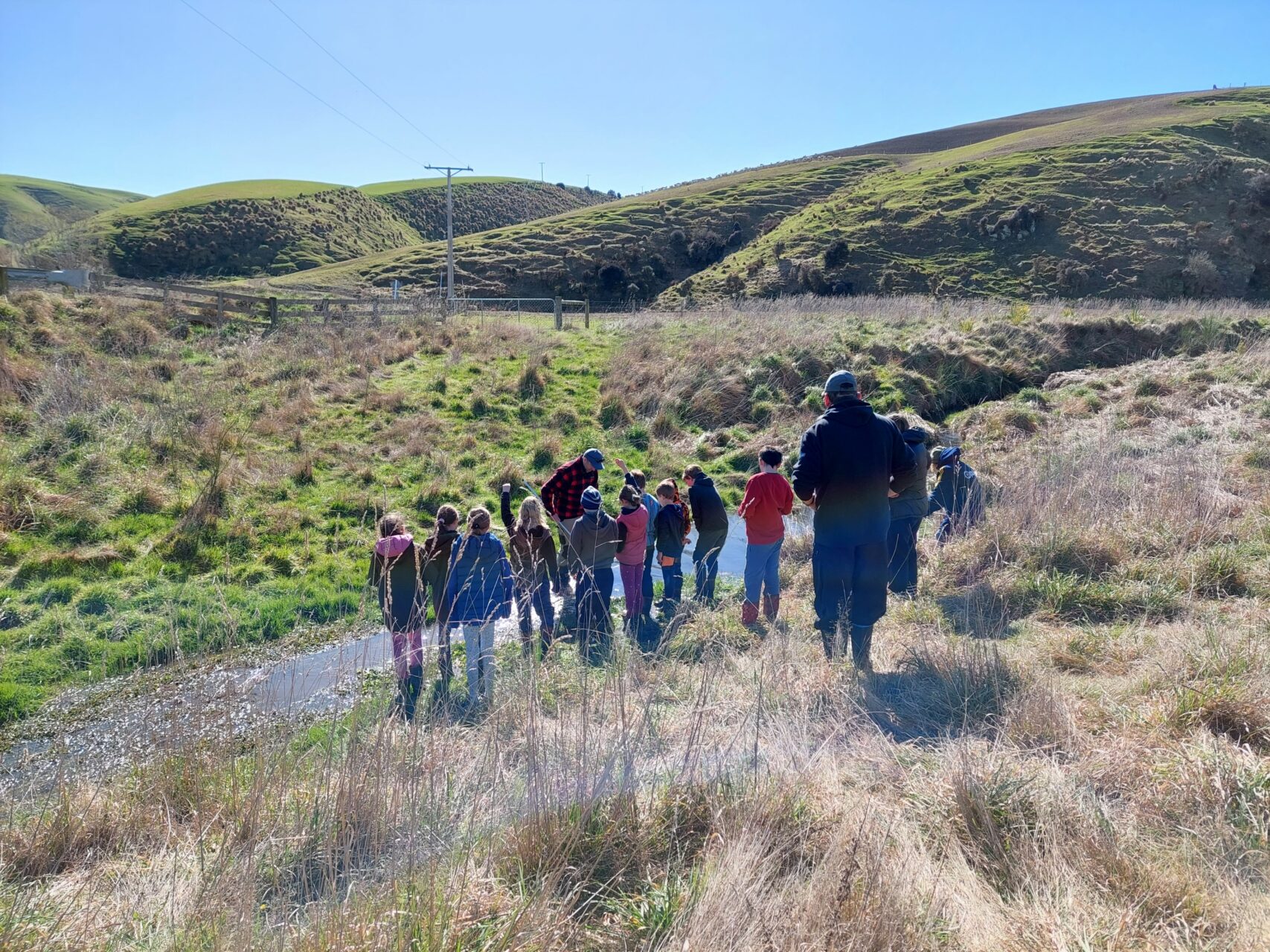 Enviroschools | Contributing to tributary restoration – Waitahuna ...
