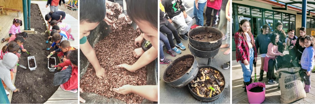 Enviroschools | Once Upon a Wetland – Porirua School’s Outdoor Classroom