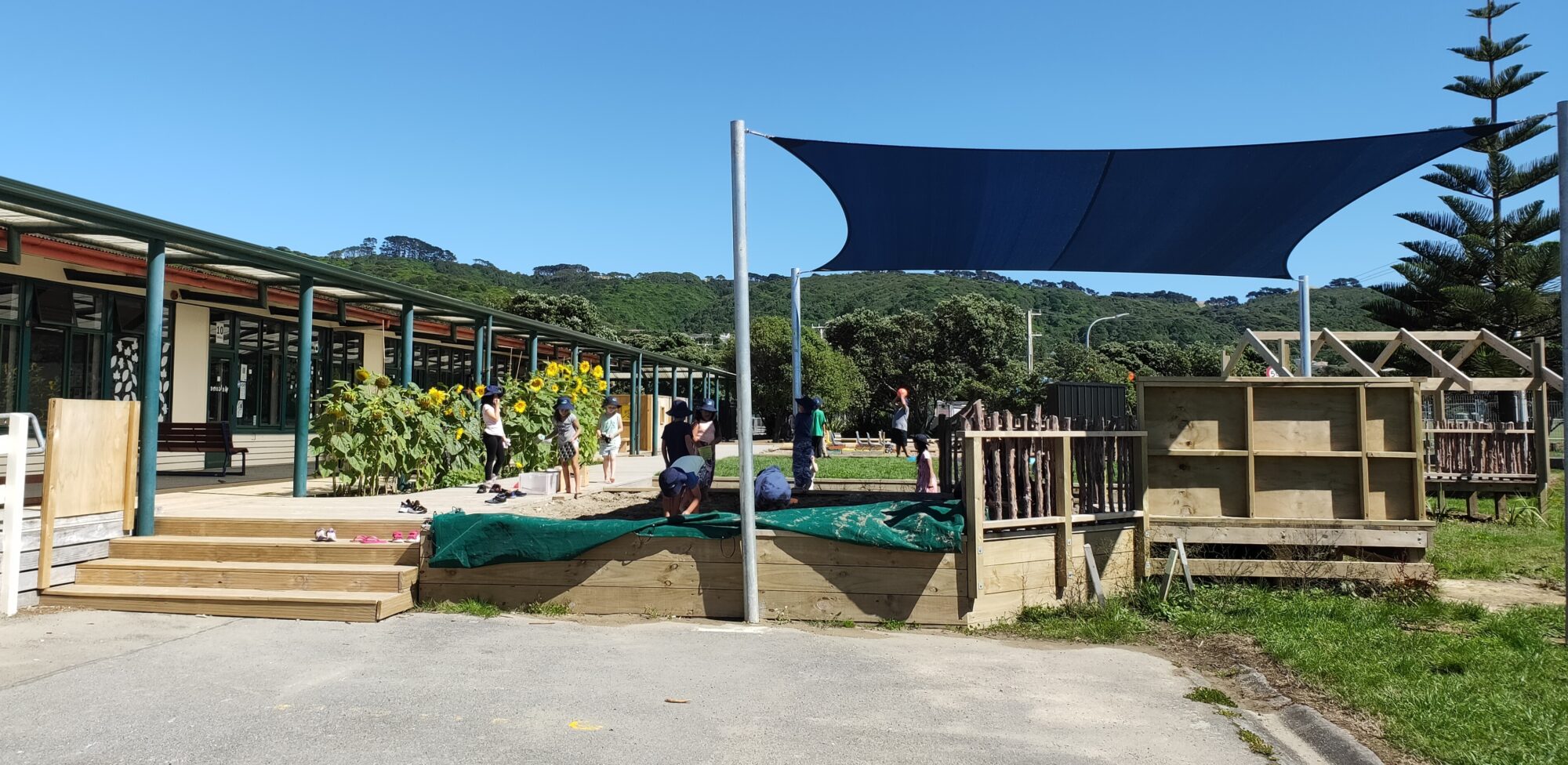 Enviroschools | Once Upon a Wetland – Porirua School’s Outdoor Classroom