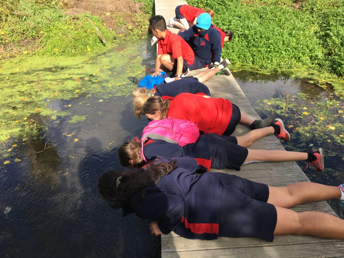 Enviroschools | A curriculum for transformation – Fergusson ...