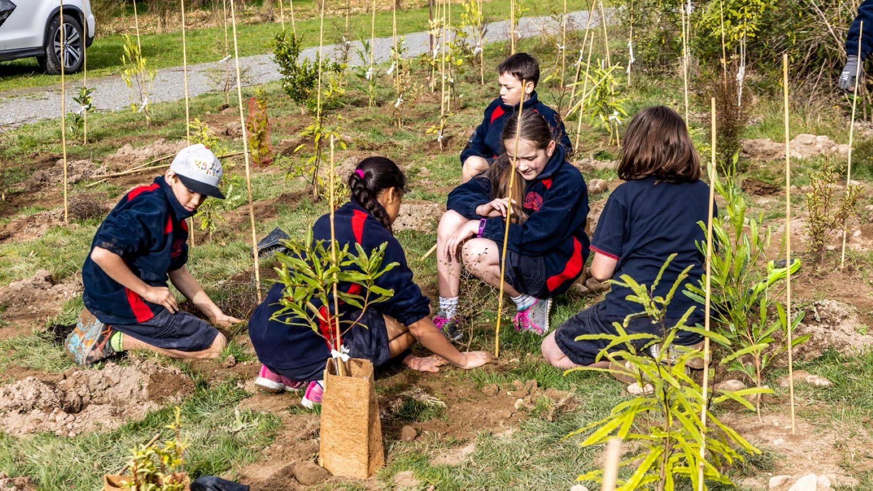 Enviroschools | A curriculum for transformation – Fergusson ...