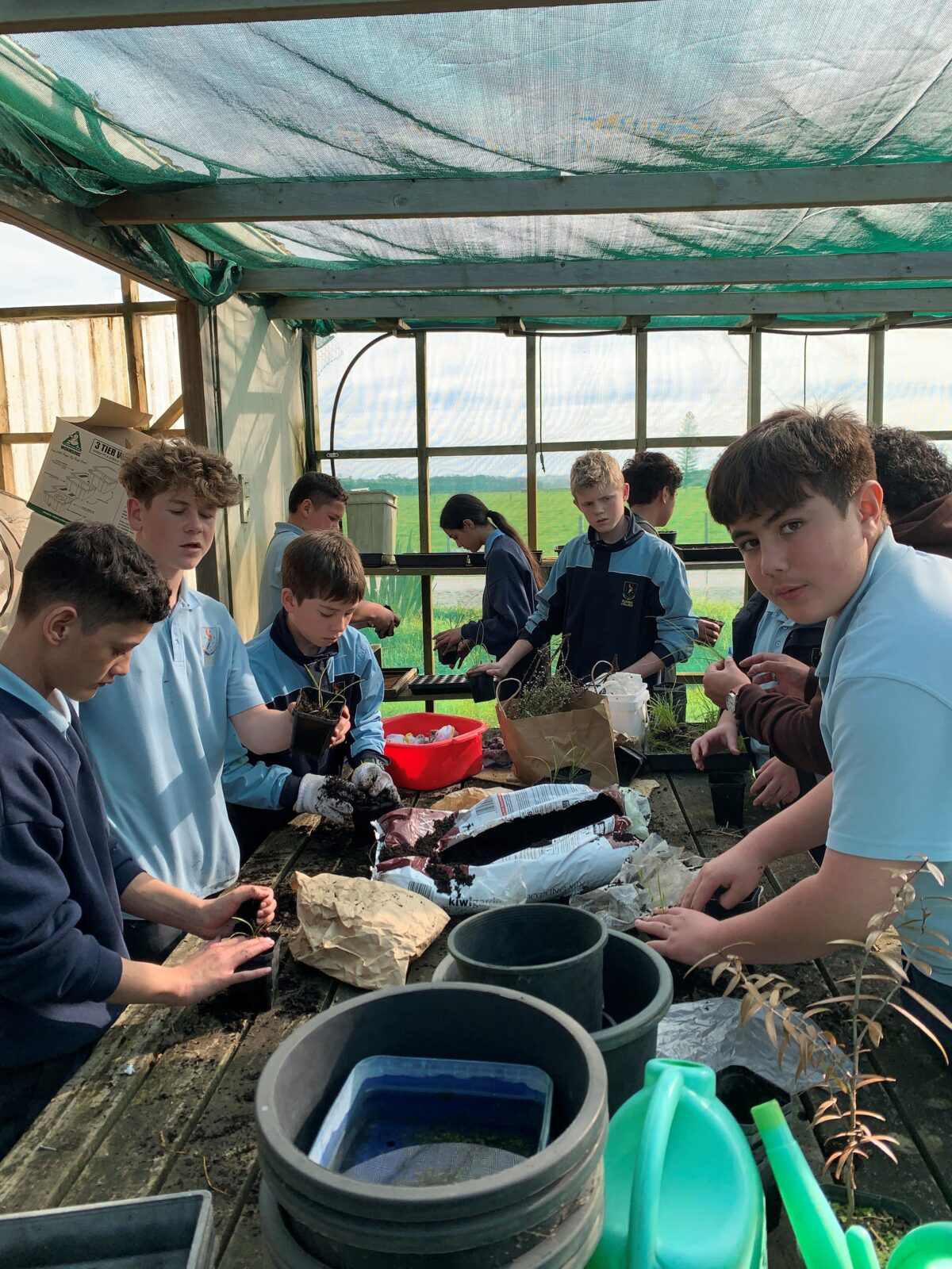 Enviroschools | WaiRestoration helped through 1 Billion Trees funding