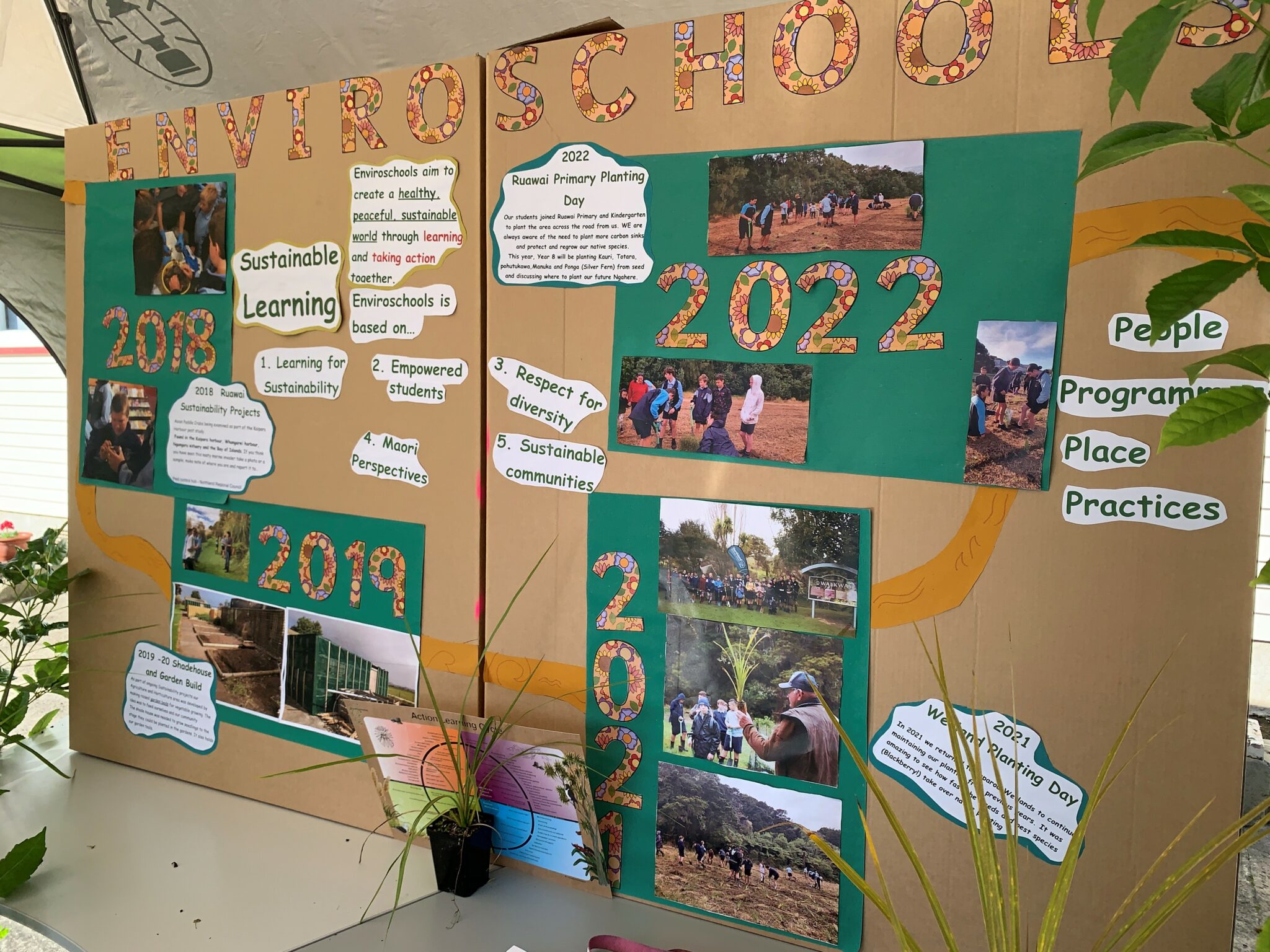 Enviroschools | Kaipara Moana Remediation partner with Northern Kaipara ...