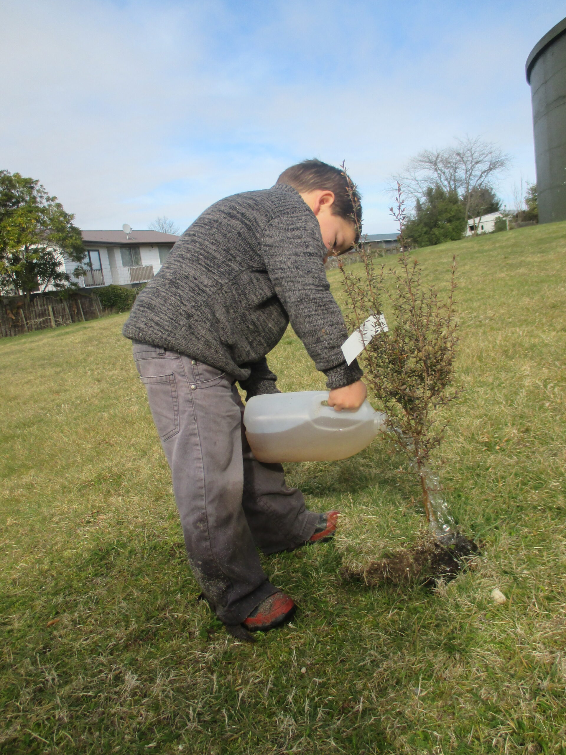 Enviroschools | Taupō Tamariki lead Ngahere Rejuvenation at Reservoir