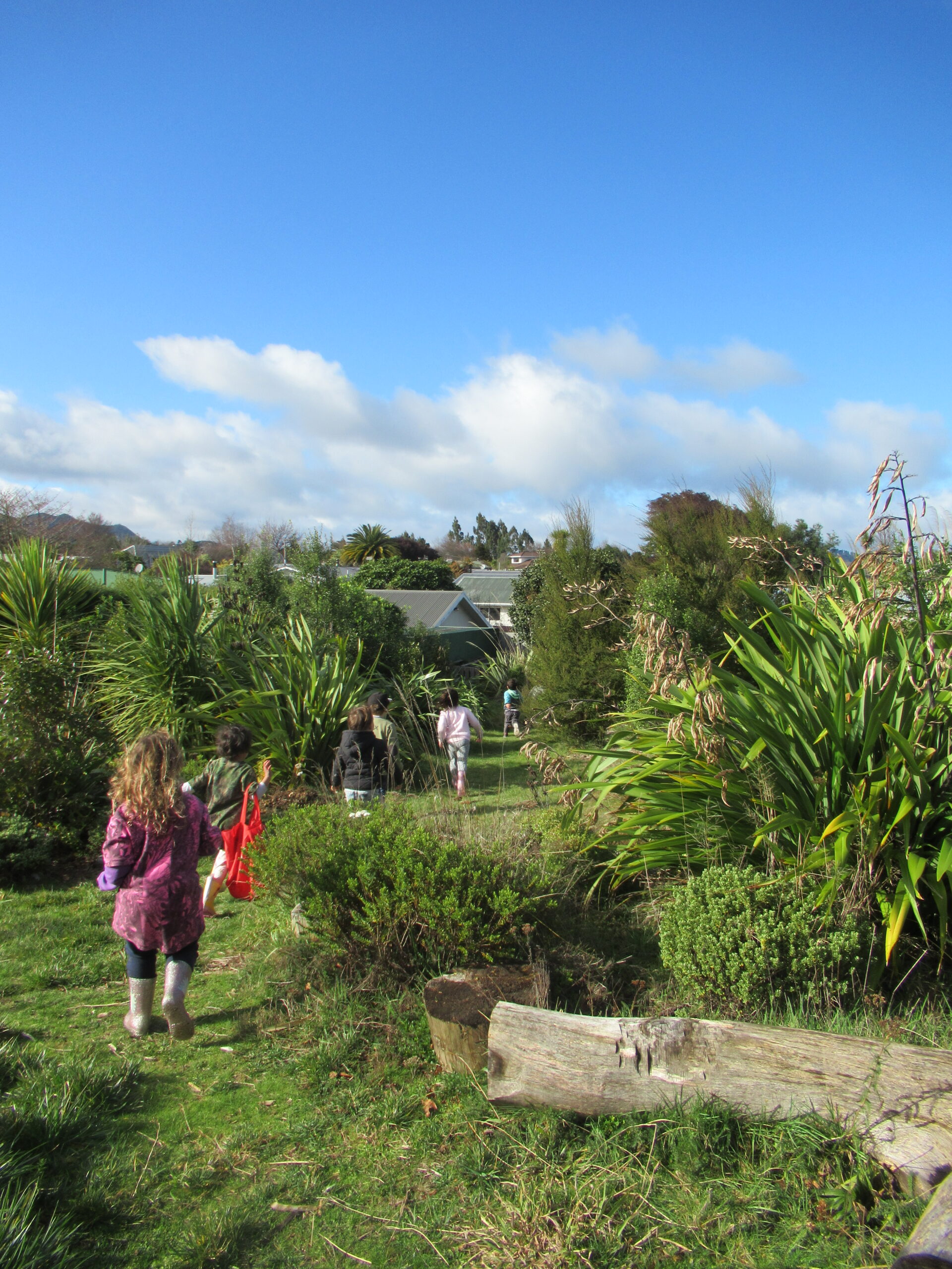 Enviroschools | Taupō Tamariki lead Ngahere Rejuvenation at Reservoir