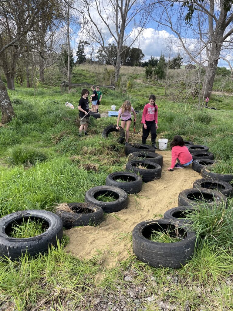Enviroschools | Budding beekeepers taste sweet success