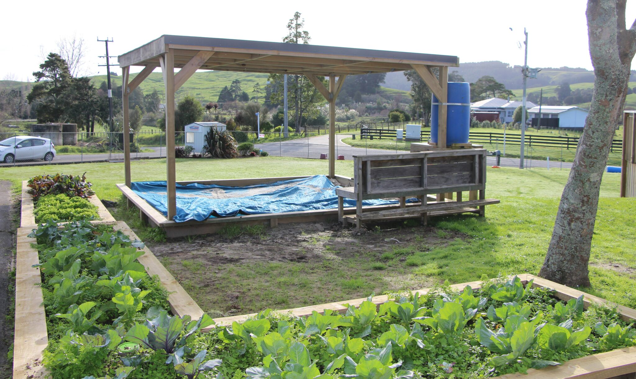 Enviroschools | Students seek a sustainable future with community