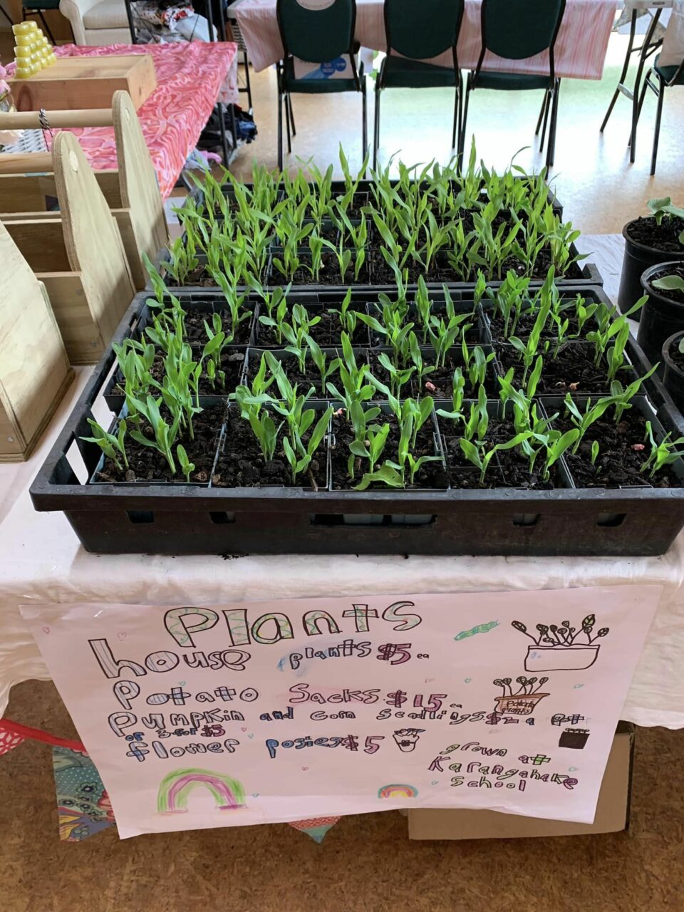 Enviroschools | Maara Kai benefits from Earthwise funding and student creativity