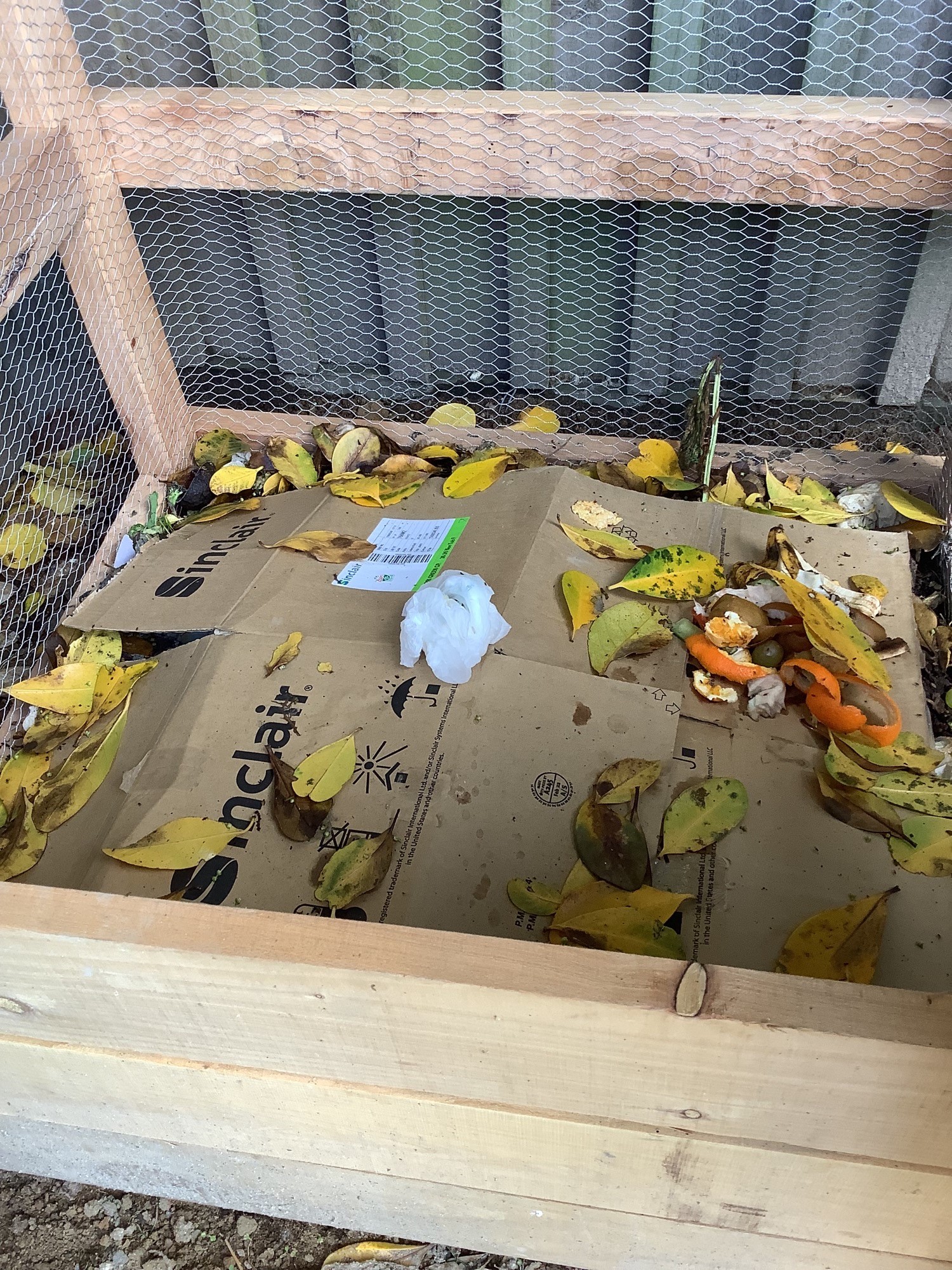 Enviroschools | Compost bin a winner at Te Puna Kindergarten